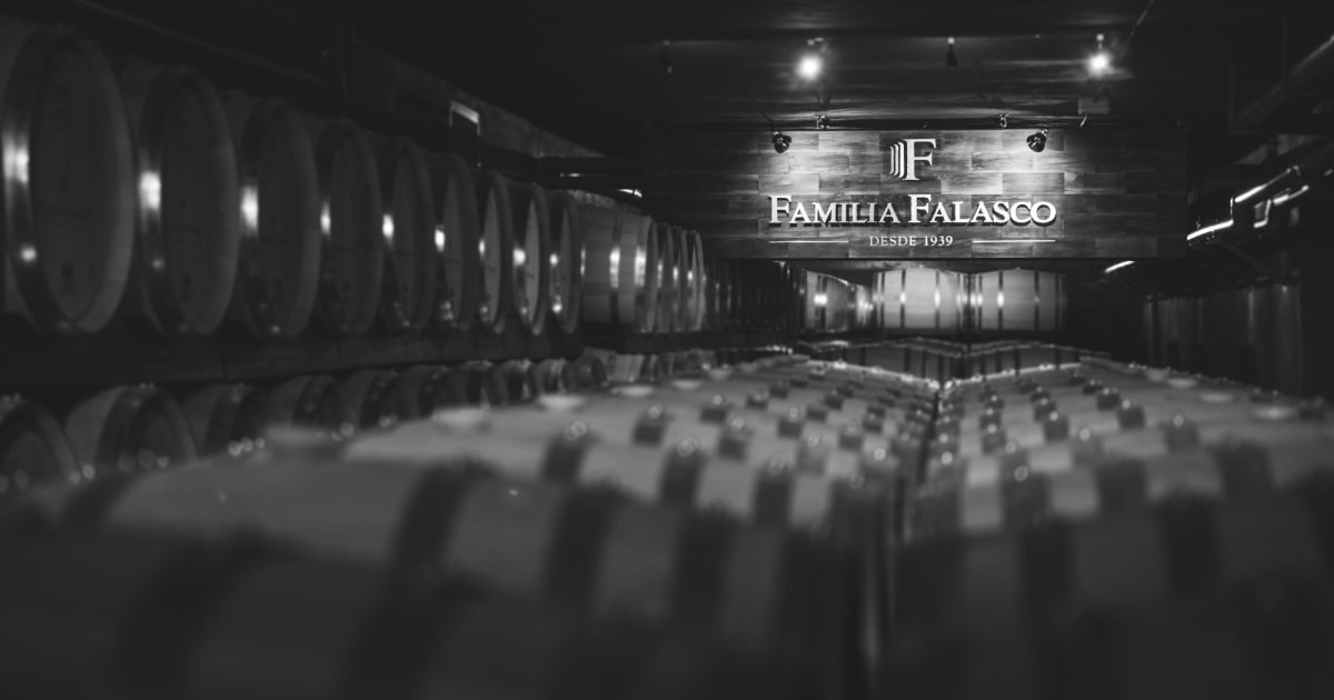 MBF y Falasco Wines · MBF ANDINA